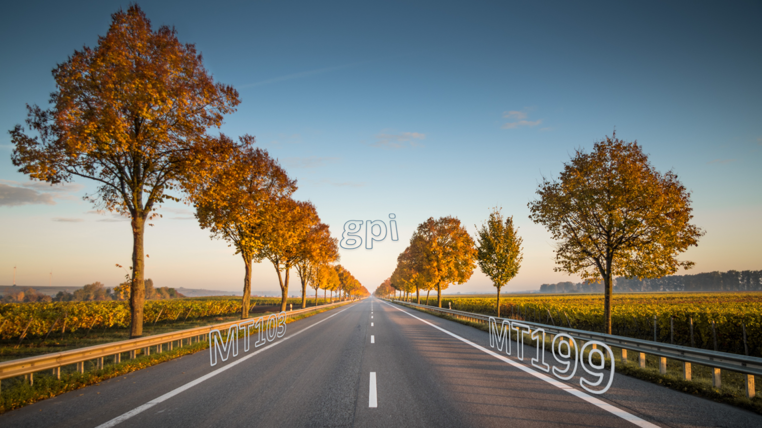 SWIFT MT MX Message Types