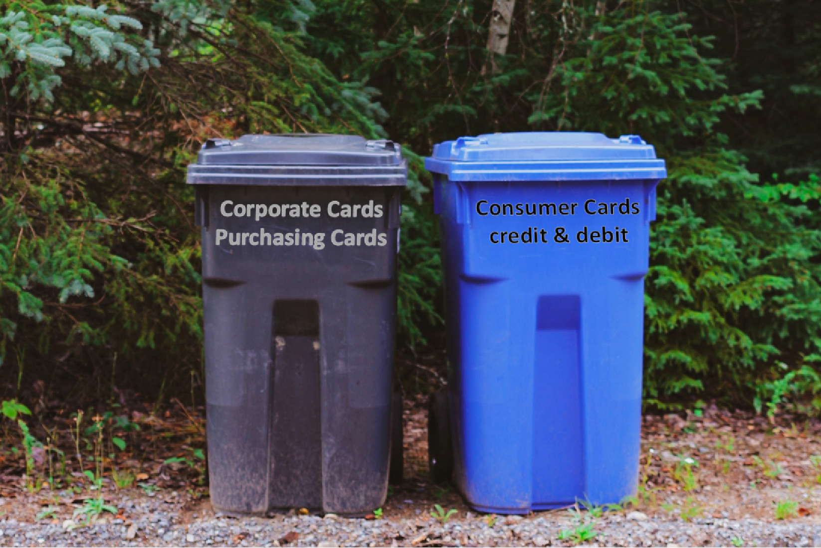SEPA SCT Formats in interbanking payments