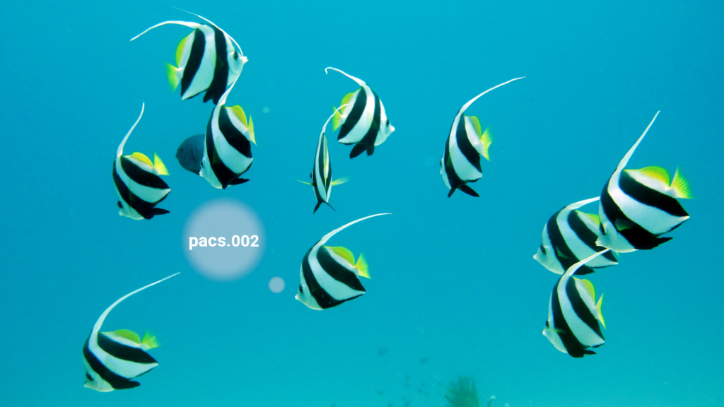 pacs.002 ISO 20022 message: FI To FI Payment Status Report